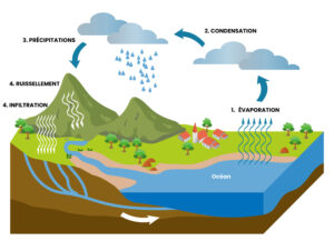 Le cycle naturel de l’eau - SYDEC40